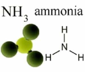 Ammonia Gas Detection - NH3 Gas Dangers & Detectors