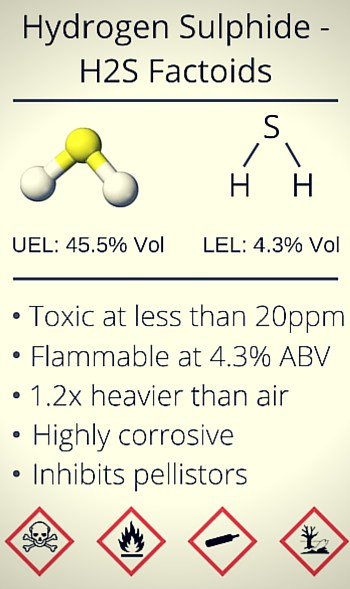 Hydrogen Sulphide Gas Detection In Refining & Hazardous Area Industries